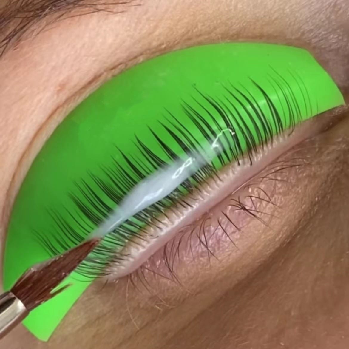 Lash Lifting Shields – NEON - D Magnetic Academy